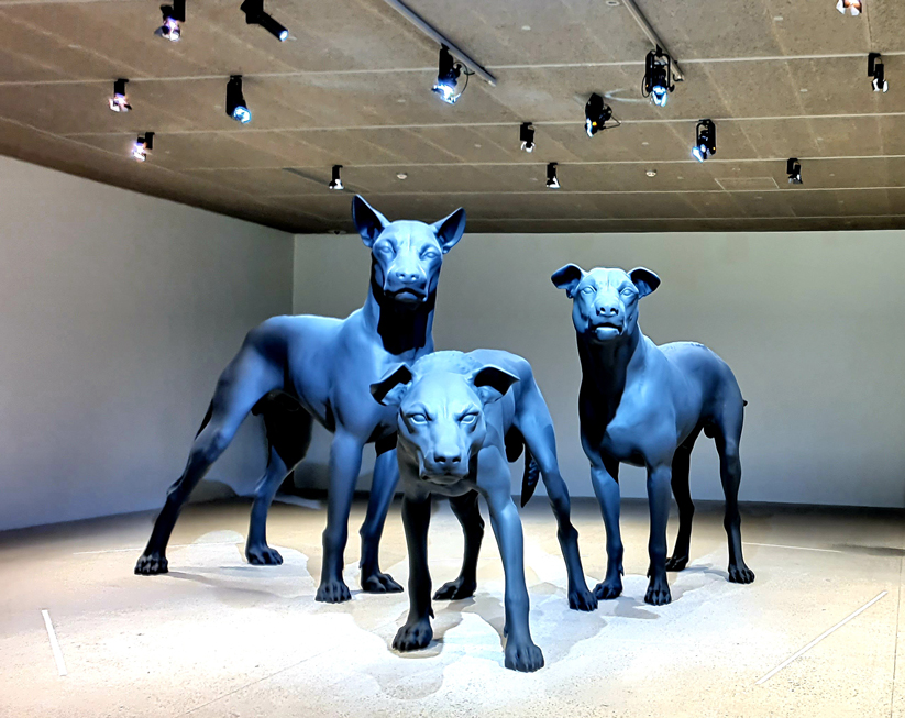 Le nostre solitudini